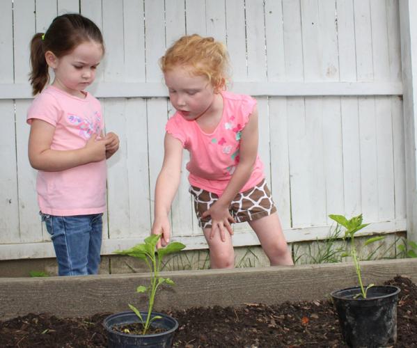 Beauty and purpose planted at Mary Randall Center | Spotlight ...