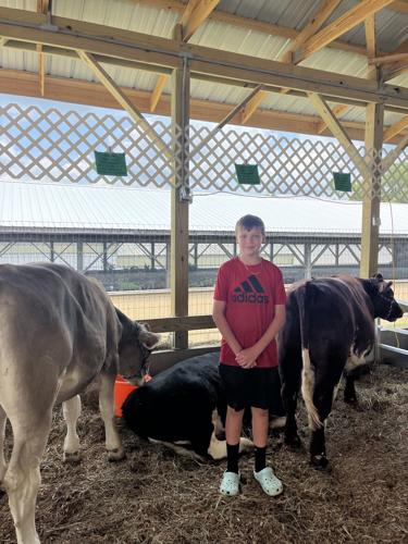 Cecil County Fair animals product of 4-H'ers hard work, dedication ...