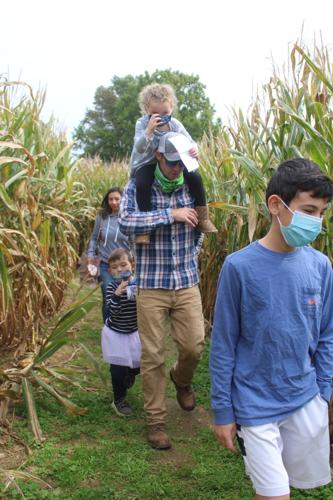 Kilby Cream Corn Maze is 5 acres of fun | Business | cecildaily.com