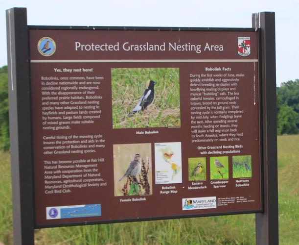 Fair Hill Nature Center signs preserve area for birds | Local News ...