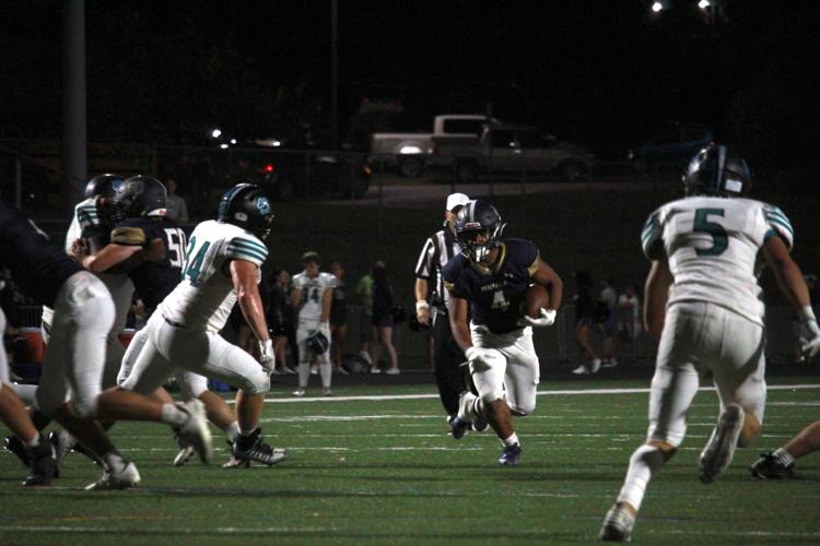 Panthers come up just short in low-scoring affair | Sports | cecildaily.com