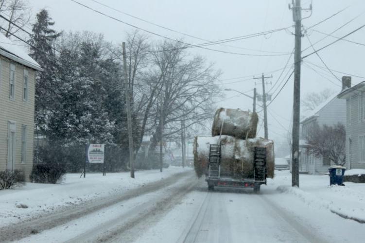 Heavy snow falling throughout Cecil | Local News | cecildaily.com