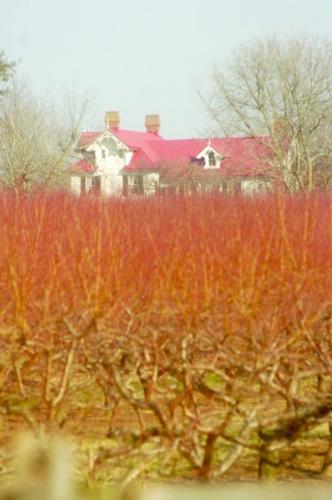CECIL PLACES - Colora: The breezy ridge of Cecil County | Regional ...