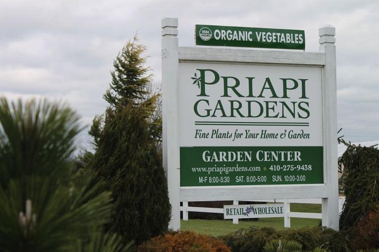 Inspired Bites | There's no off-season for growers at Priapi Gardens ...