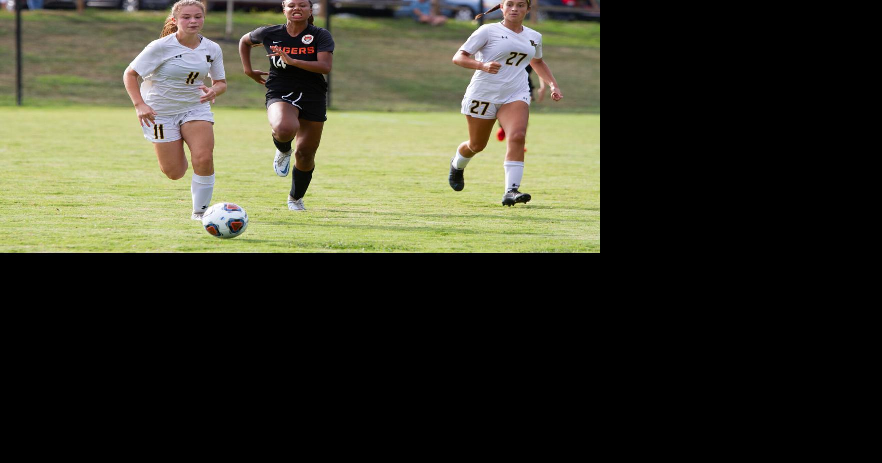 Harford Tech too much for Tigers in season opener | Sports | cecildaily.com