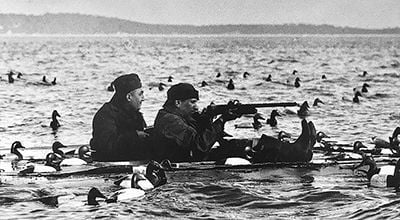 The Unending Duck War | Our Cecil | cecildaily.com