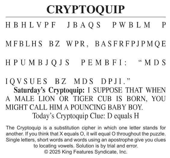 0106 crypto | Cryptoquip | cecildaily.com