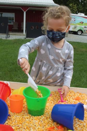 Kilby Cream Corn Maze is 5 acres of fun | Business | cecildaily.com