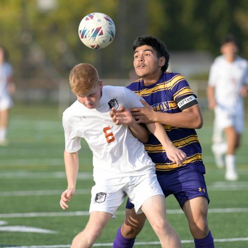 Elkton boys' soccer advances to regional semifinals | Sports ...