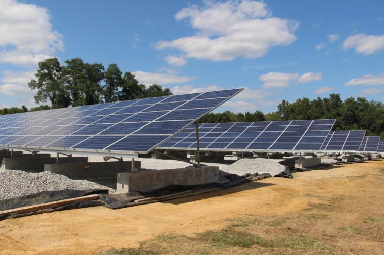 Newark solar park exceeds expectations in first year | Regional ...