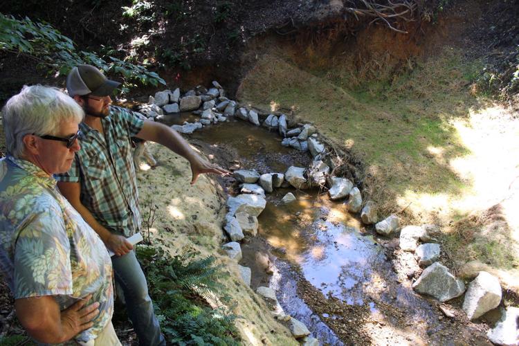 Huge project aims to reduce runoff to Sassafras River | Spotlight ...