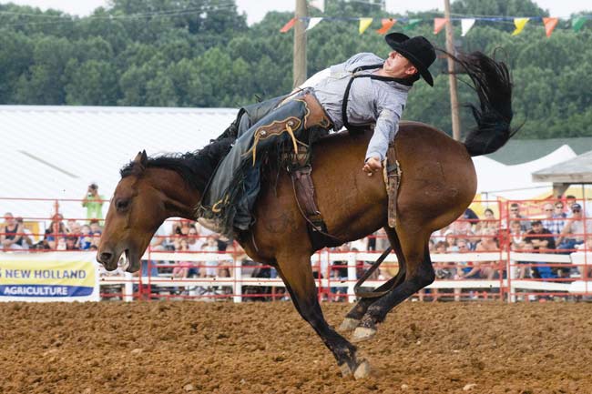 JUMPSTART: 57th-Annual Cecil County Fair kicks off tonight | Features ...