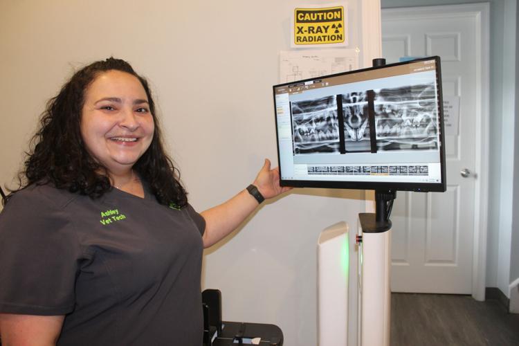 Loving Touch Animal Clinic opens new location in Elkton | Business ...