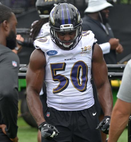Ravens re-sign veteran LB Albert McClellan; place CB Maurice Canady on ...