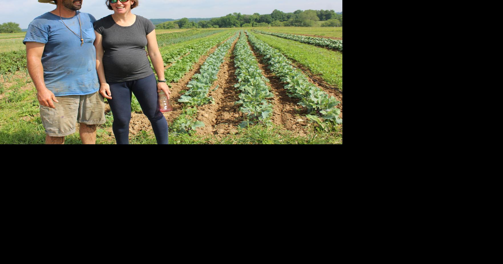 AgriCulture: Local farms earn grants; several virtual agriculture ...