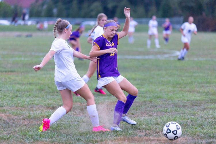 Panthers rally in second half to down Golden Elks | Sports | cecildaily.com