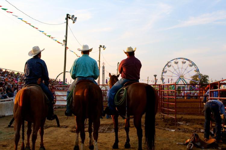 Cecil County Fair 2015 | News Gallery | cecildaily.com