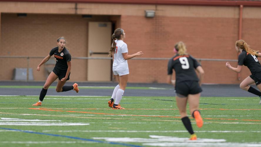 Rising Sun falls to Fallston 4-2 | Sports | cecildaily.com