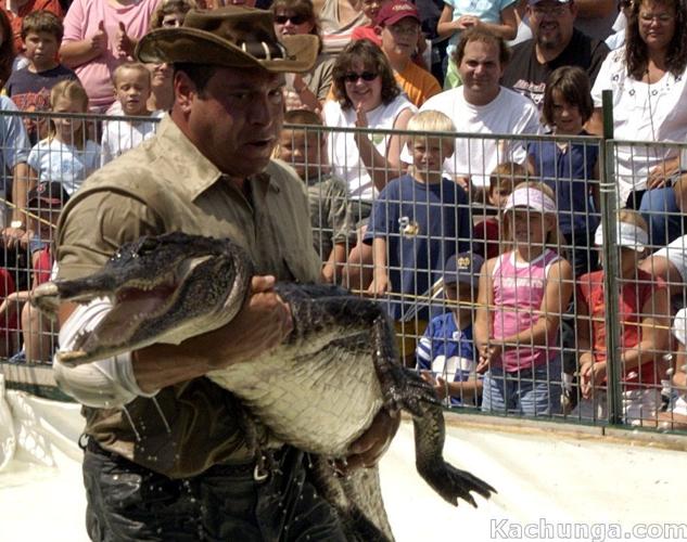 Kachunga & The Alligator brings thrills | Local News | cecildaily.com