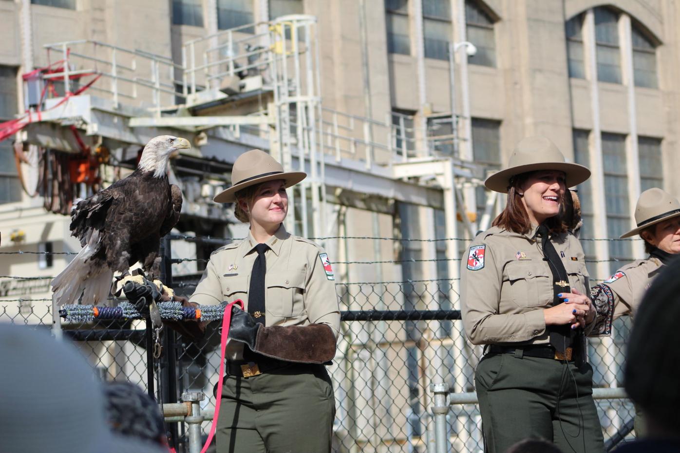 Photographers vie for eagle shots at Conowingo Dam | Local News ...