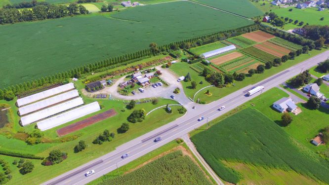 Biz Beat: Priapi Gardens for sale, Lt. Gov. visits viral Walmart ...