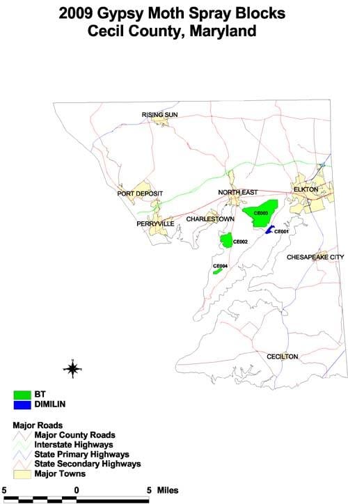 State wages smaller war on Gypsy moths this year | News | cecildaily.com