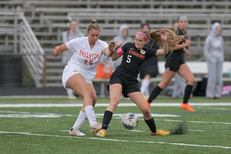 Rising Sun falls to Fallston 4-2 | Sports | cecildaily.com