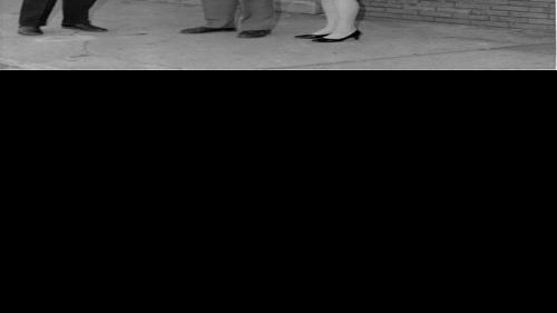 Recognize this? | Our Cecil | cecildaily.com