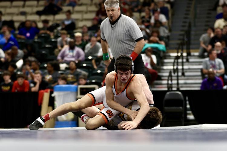 Rising Sun's Garvin, Testerman triumph at wrestling states | Sports ...