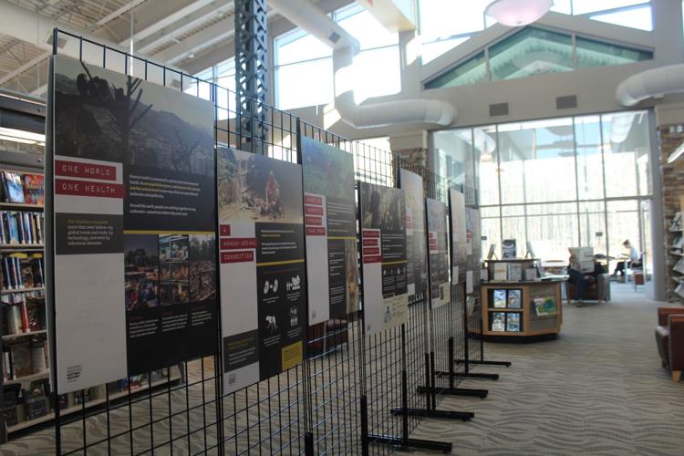 Smithsonian project brings epidemic education to Perryville library ...