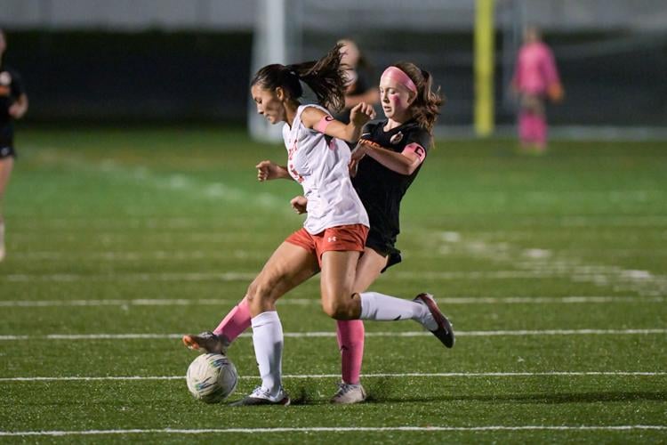 Rising Sun defeats Edgewood | Sports | cecildaily.com