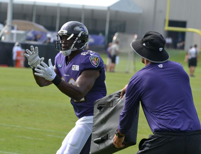 2016 Baltimore Ravens Training Camp | Sports Gallery | cecildaily.com