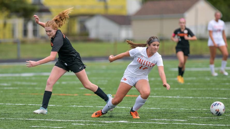 Rising Sun falls to Fallston 4-2 | Sports | cecildaily.com