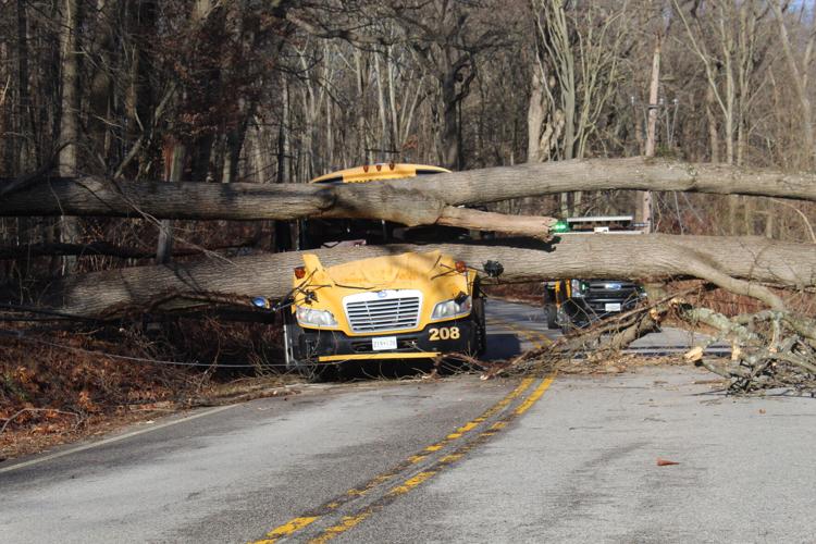 School bus crashes into fallen tree near Perryville | News | cecildaily.com