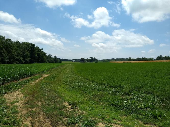 AgriCulture; 218 acres placed in preservation, cover crop deadline ...