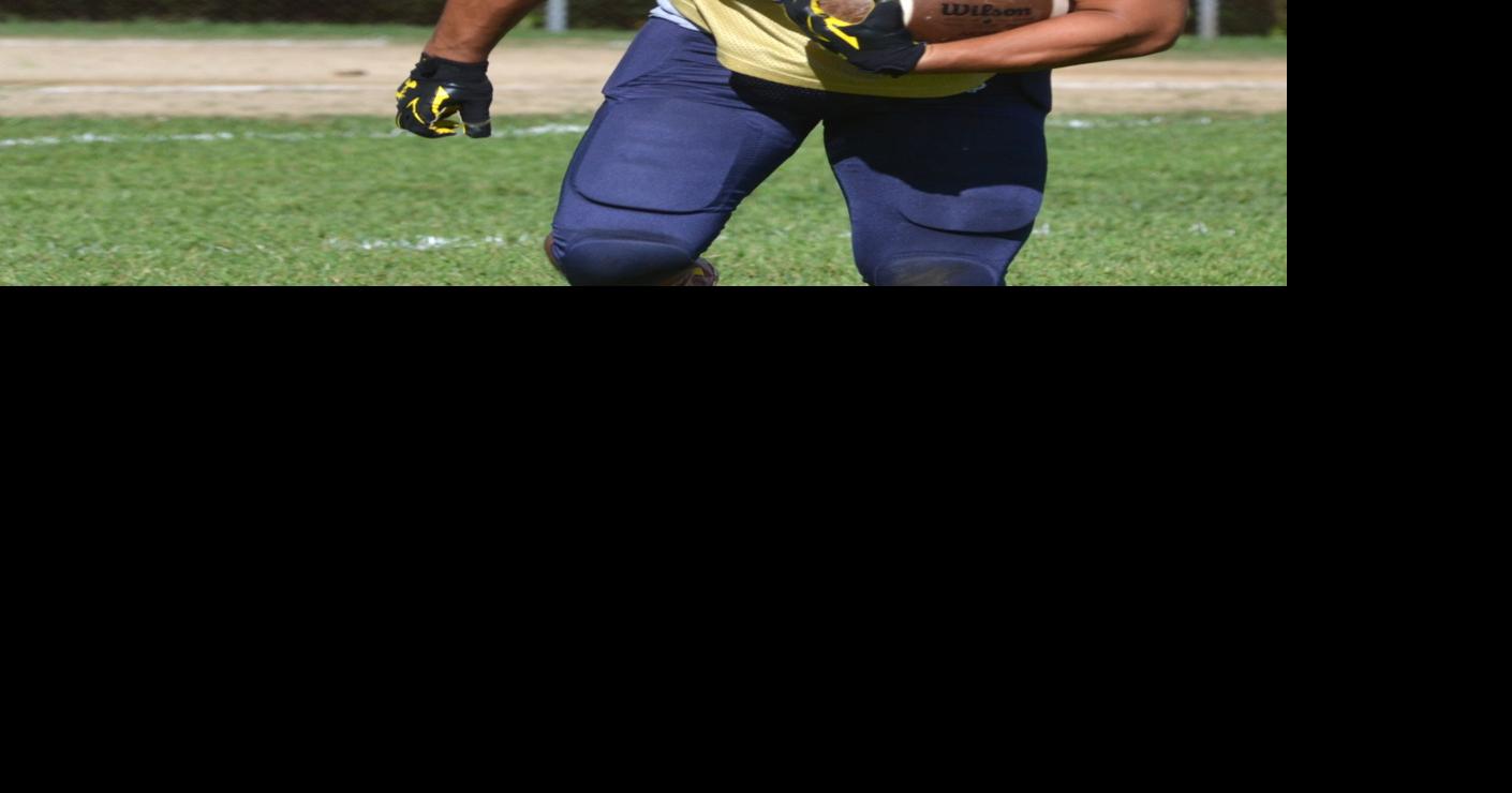 FOOTBALL: Panthers hoping last year's growing pains leads to more ...