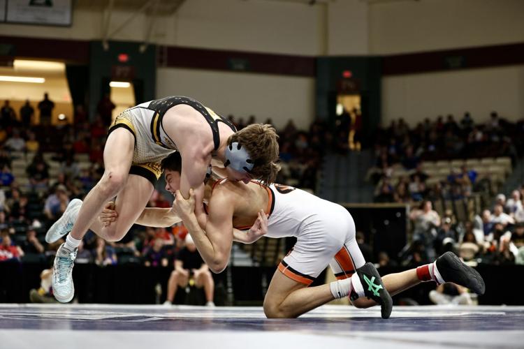 Rising Sun's Garvin, Testerman triumph at wrestling states | Sports ...