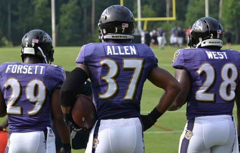 2016 Baltimore Ravens Training Camp | Sports Gallery | cecildaily.com