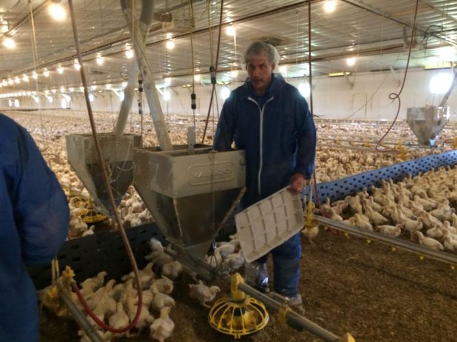 Tour gives insight into controversial chicken farm proposal | Spotlight ...
