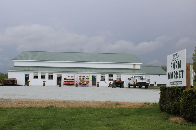 News Briefs — Week of Nov. 18: Feline Festivus, Newark Turkey Trot ...