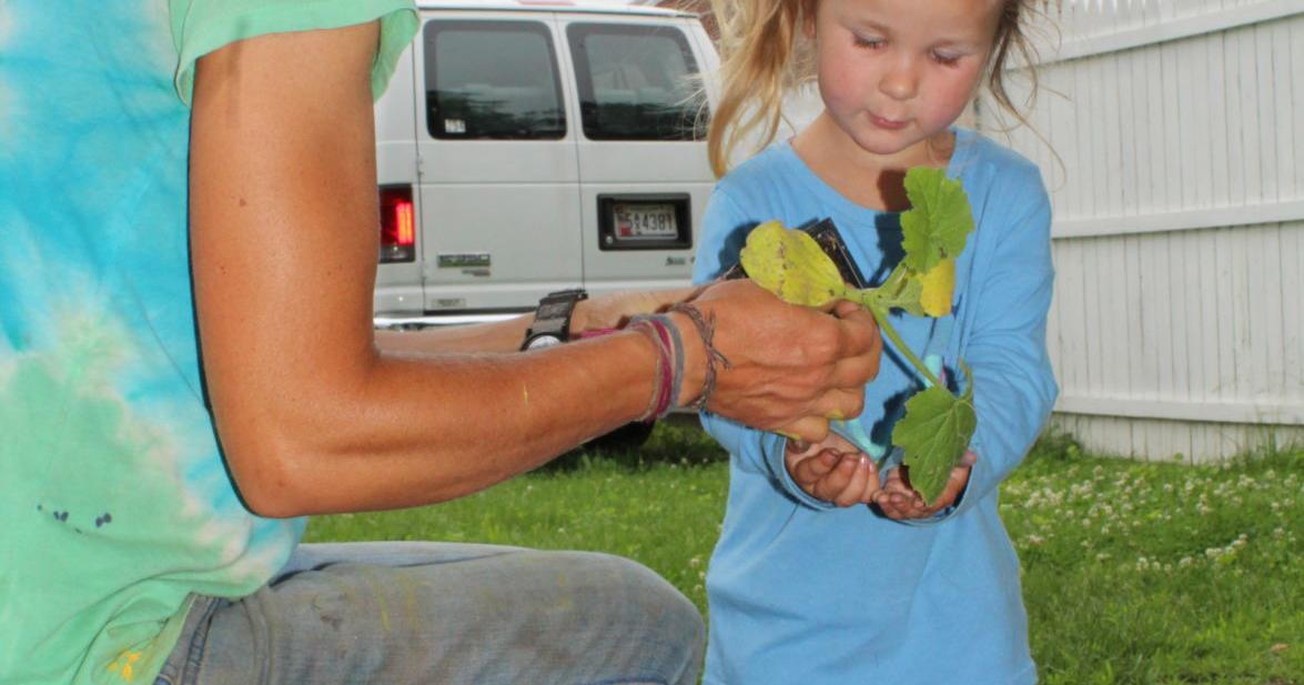 Beauty and purpose planted at Mary Randall Center | Spotlight ...