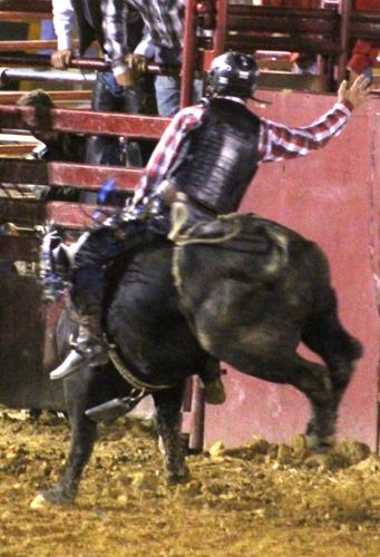 Photo gallery: Three Hills Rodeo delights at Cecil County Fair | Local ...