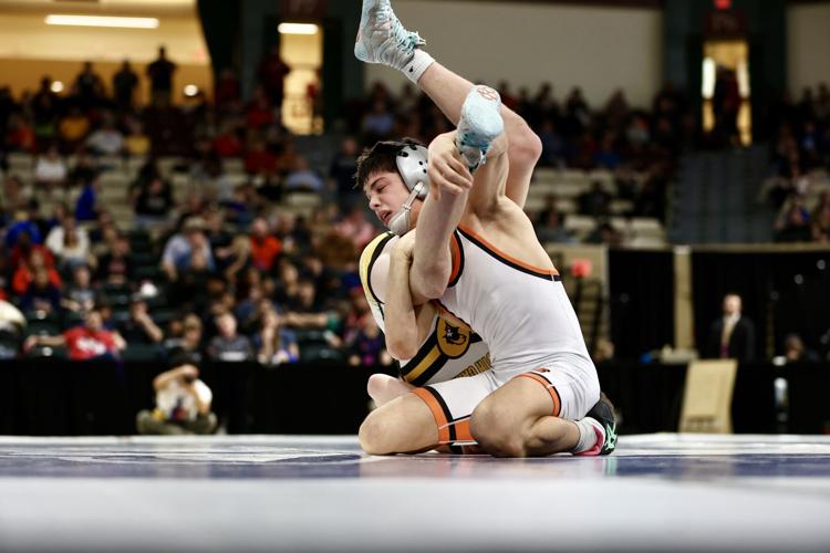 Rising Sun's Garvin, Testerman triumph at wrestling states | Sports ...