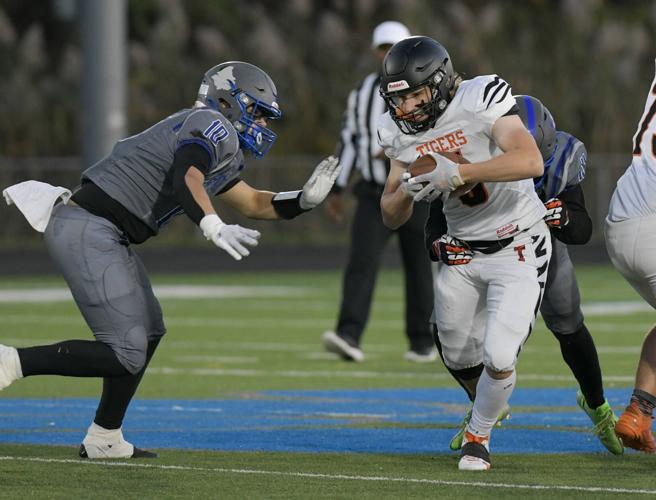 Rising Sun falls to Sparrows Point in opening round of regional ...