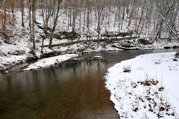 Snow blankets Cecil County | News Gallery | cecildaily.com