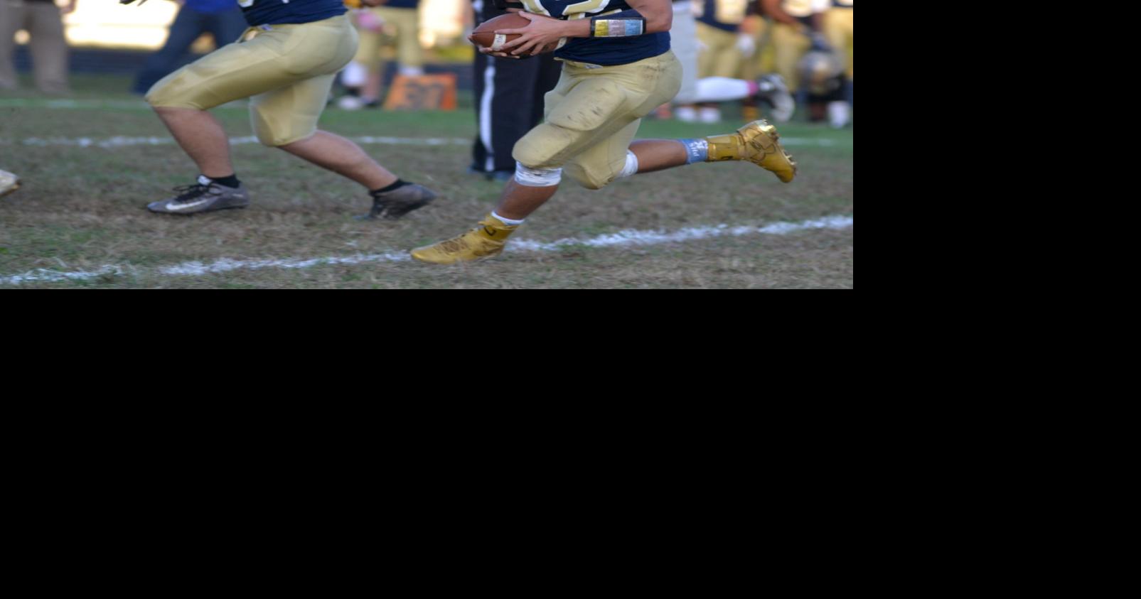 Panthers' Zacerous scores 3 rushing touchdowns in win | High Schools ...