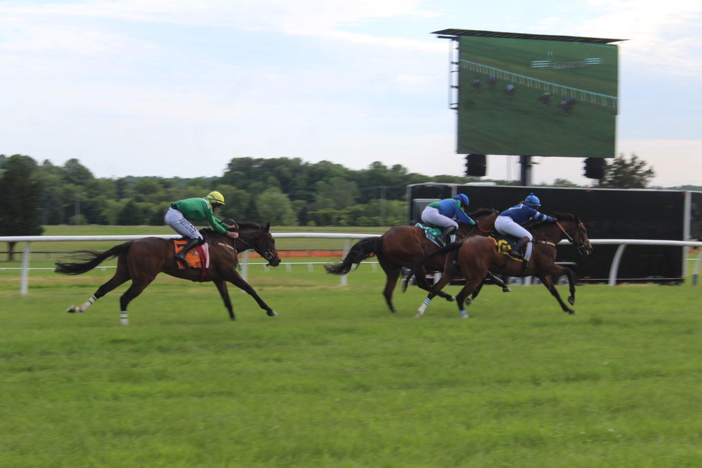 Fair Hill Races see two-day event for first time | Local News ...