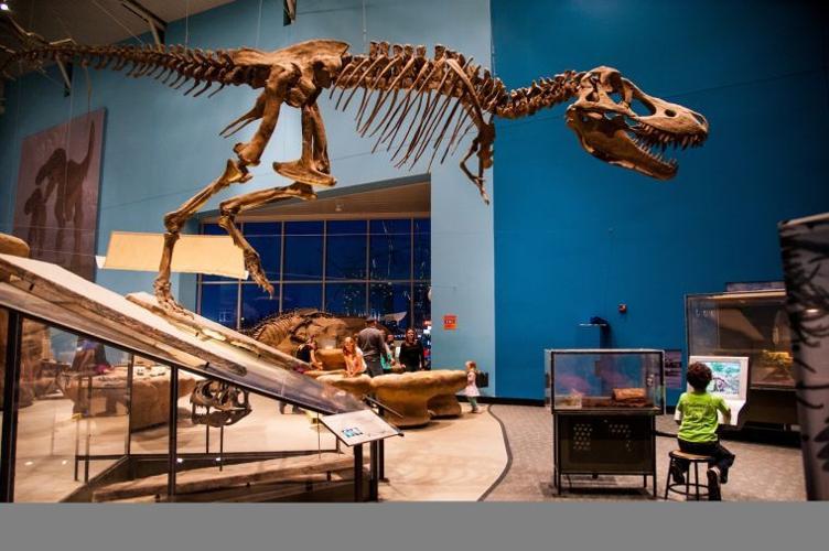 Maryland Science Center hosts first-ever 'Mess Fest' | Misc. Features ...