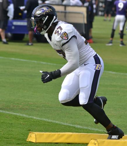 2016 Baltimore Ravens Training Camp | Sports Gallery | cecildaily.com