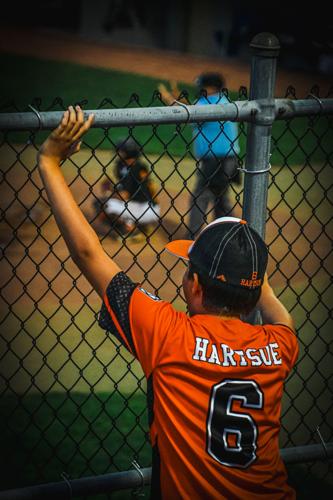 Rising Sun Seniors' run in regional tournament comes to an end | Sports ...